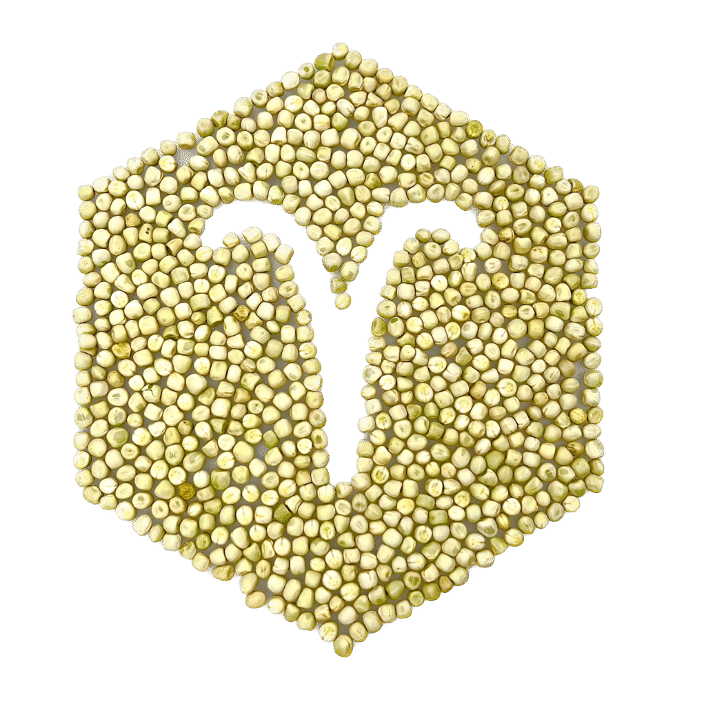Erbse Affyla Balboa - BIO Microgreen Saatgut - erbgruen.bio